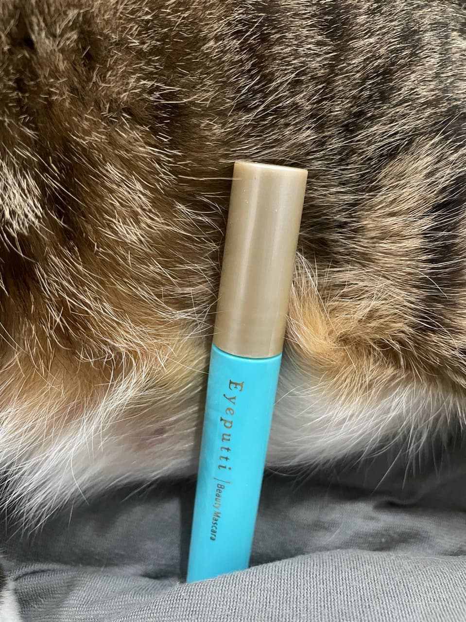 日本小眾牌Vim Beauty 真的內外兼具🥹又美又好用 - 美妝板 | Dcard