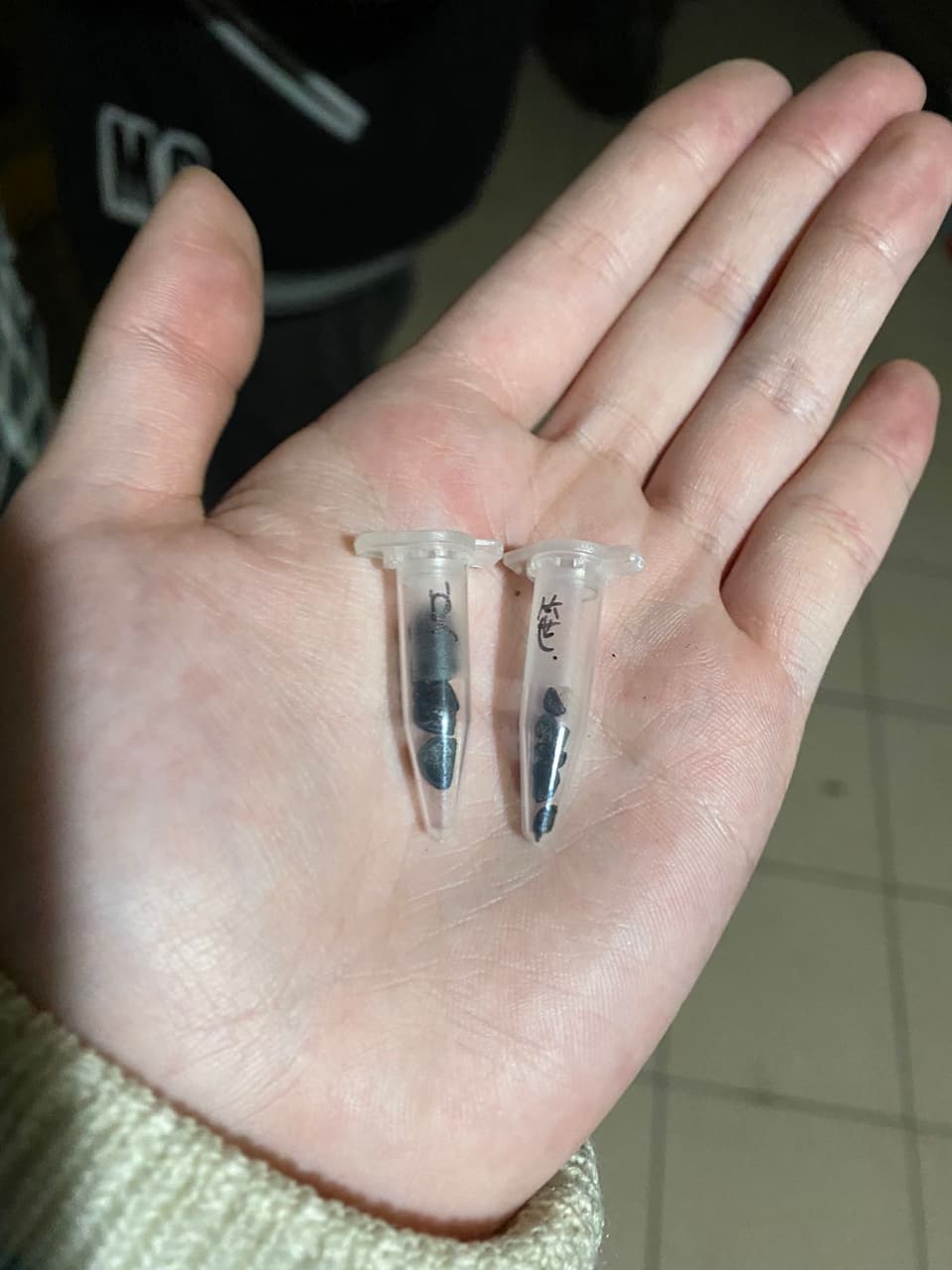 #分享 BJ聖誕禮包 - 植物板 | Dcard