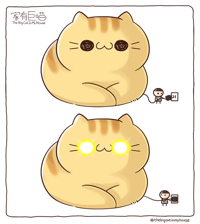 充電中 Cat charge - 家有巨喵 (@bigcatinmyhouse) | Dcard