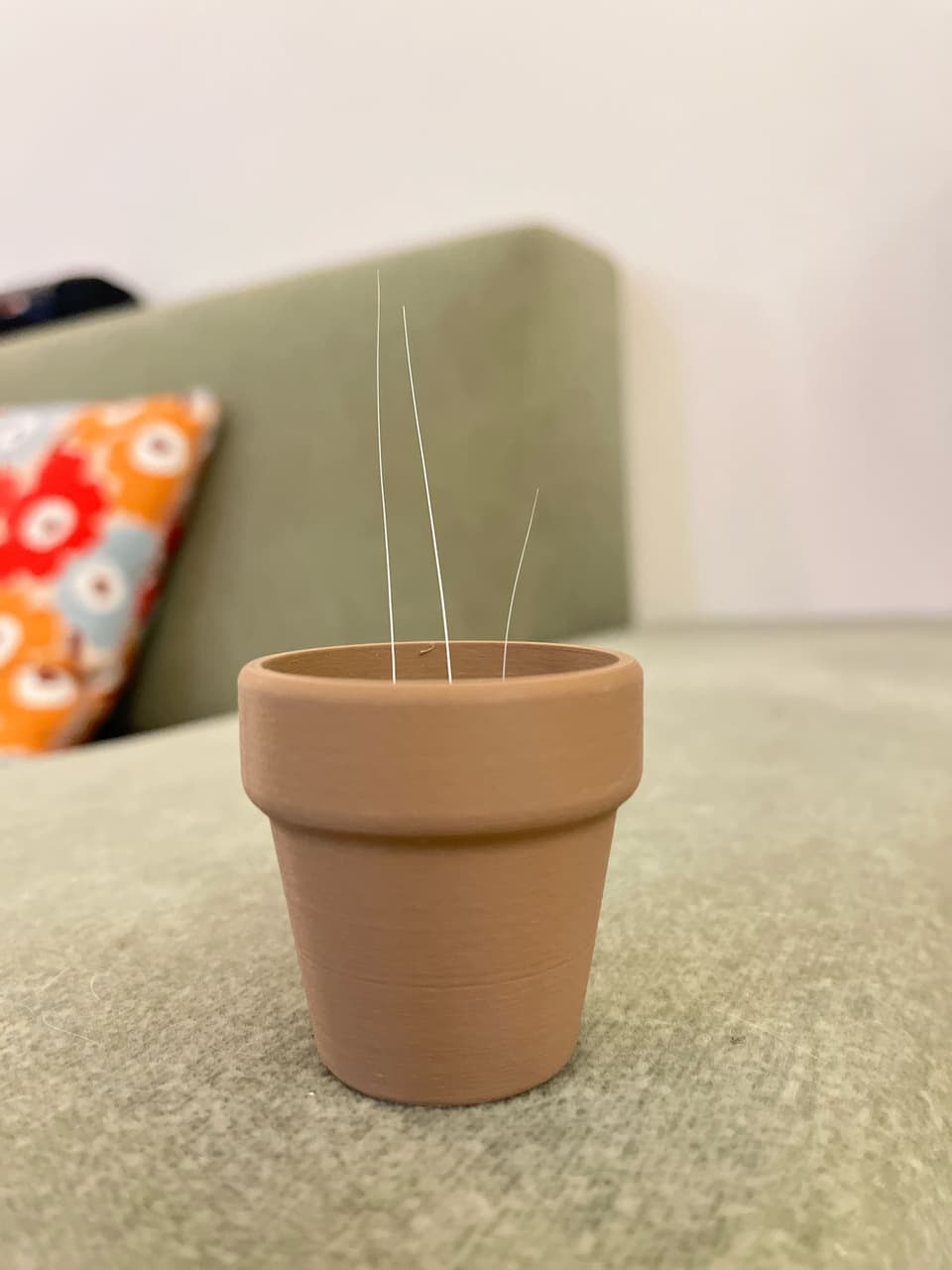 #分享 冬天宅在家就是一直幫主子下單 - 寵物板 | Dcard