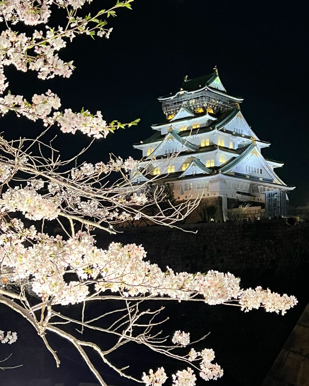 #心情廢文 終於追完 SHOGUN 将軍 - Toxin (@toxins) | Dcard