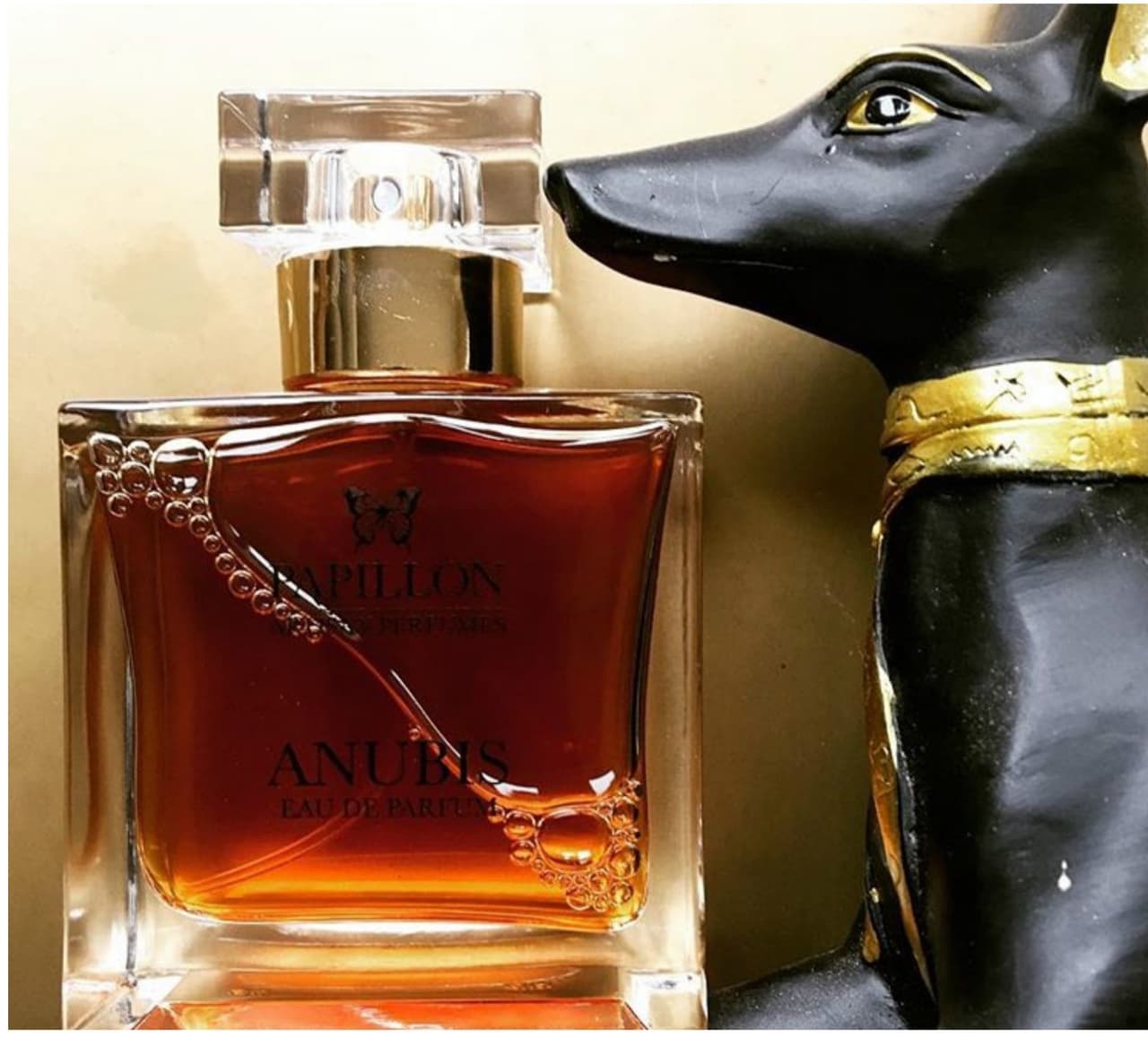 品牌簡介——Papillon Artisan Perfumes（蝴蝶工匠） - 香氛板 | Dcard