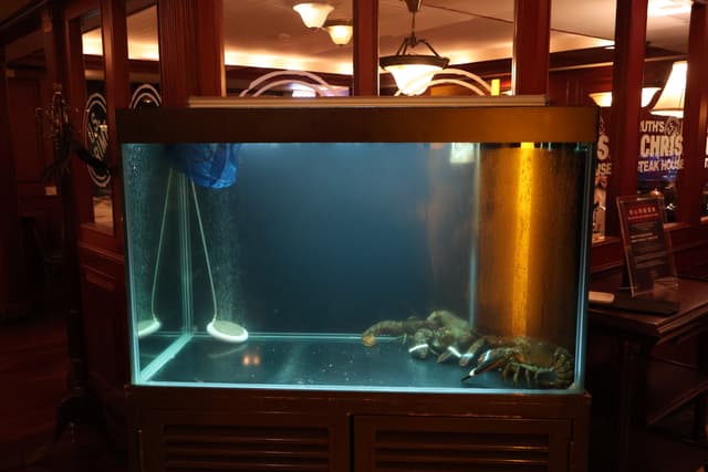 ＃食記 茹絲葵牛排館 - B41 留言 | Dcard