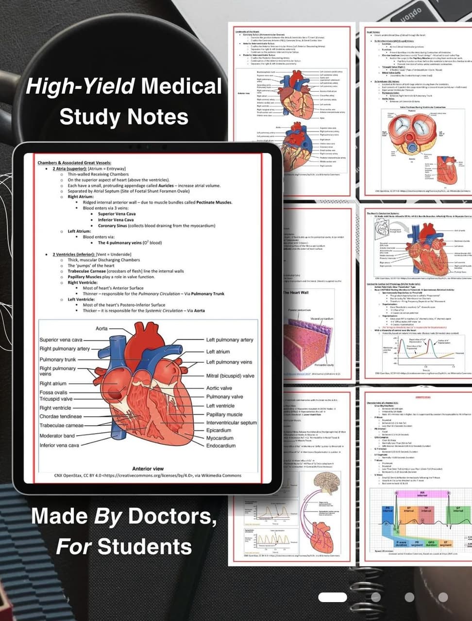 Sell med student notes w/ handsome price 平賣醫科筆記 - 港澳 u life板 | Dcard