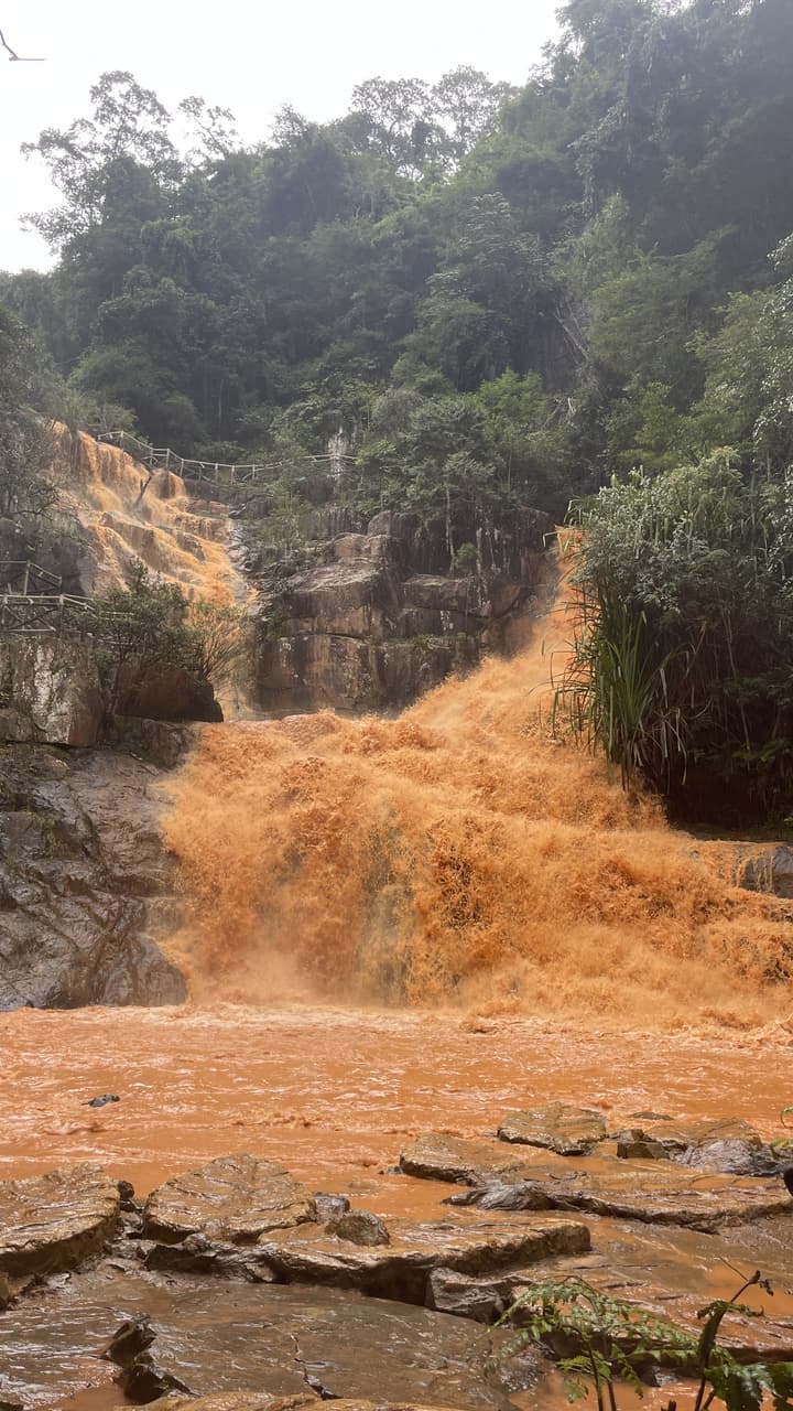 #國外遊記 越南 胡志明＋大叻 自助小旅行5日 D1-D3 - 旅遊板 | Dcard