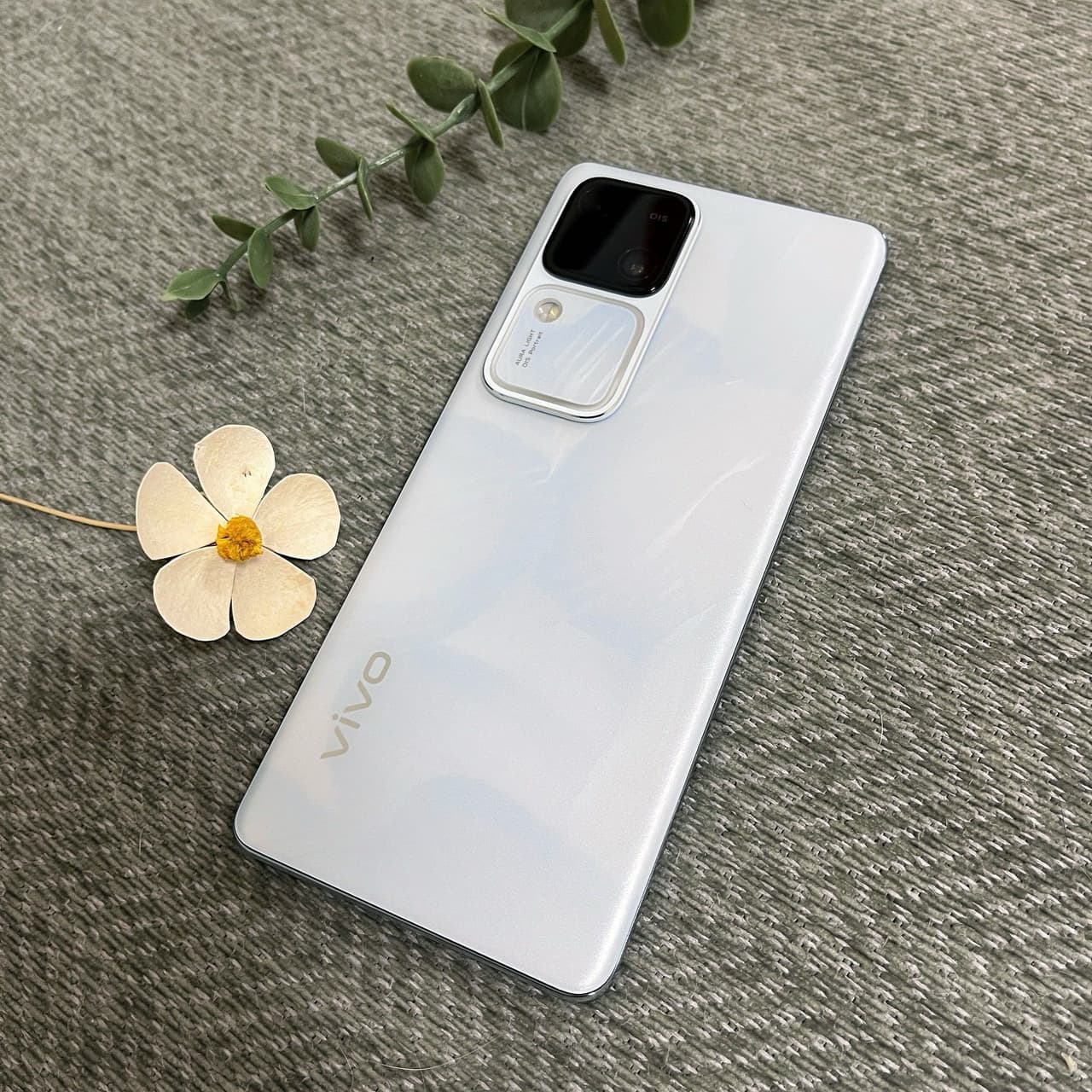 真心推推vivo V30照片直出就很好看！ - 閒聊板 | Dcard