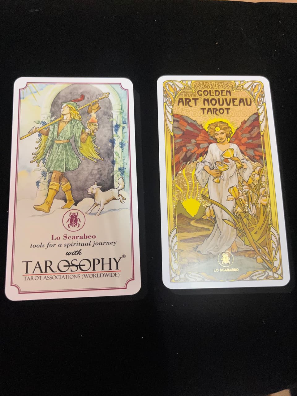 開箱📦黃金新藝術塔羅牌 🖤 Golden Art Nouveau Tarot - 𝘽𝙖𝙨𝙩𝙚𝙩 𝘿𝙞𝙖𝙧𝙮 (@ld02513) | Dcard