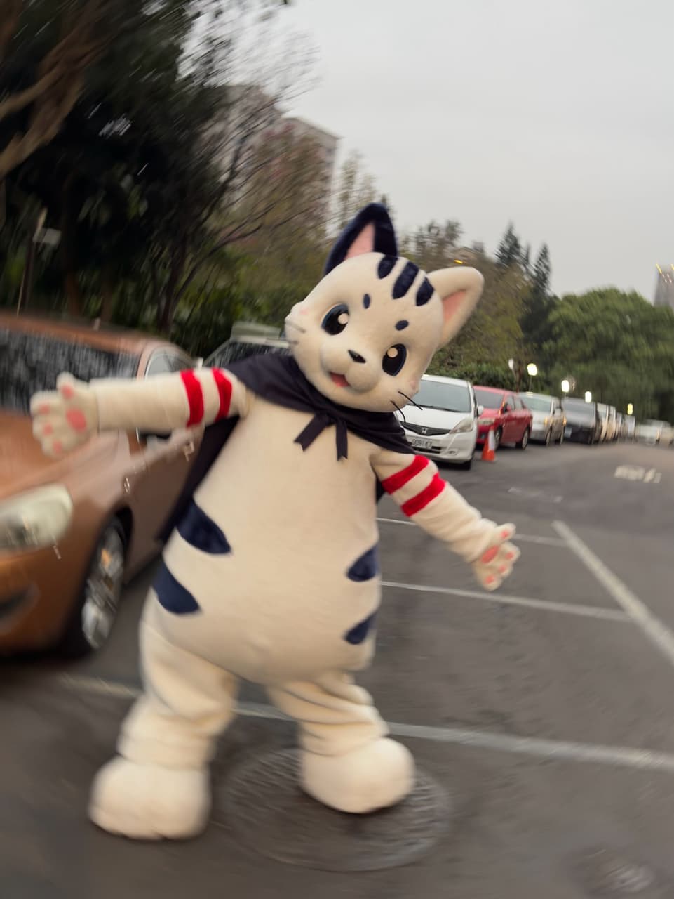 2/22猫の日🐱 - 貓月 (@nyanrou_neko) | Dcard