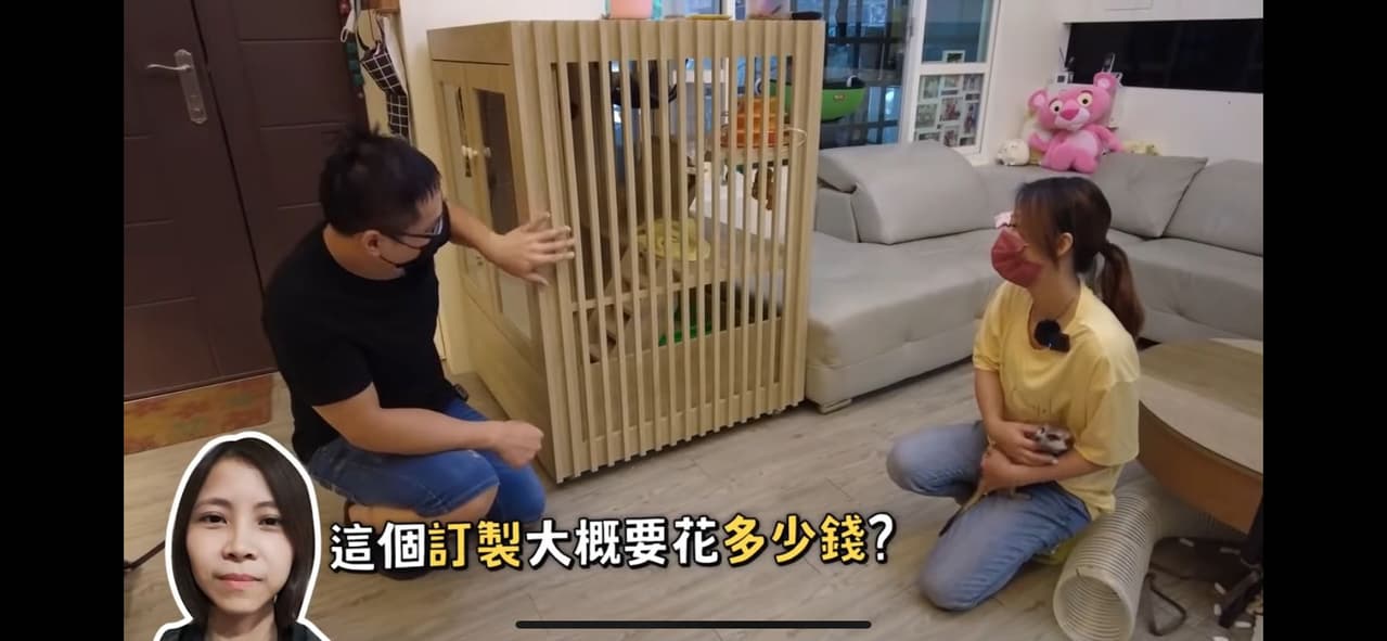 #更 我竟然擁有了自己的狐獴 - B102 留言 | Dcard