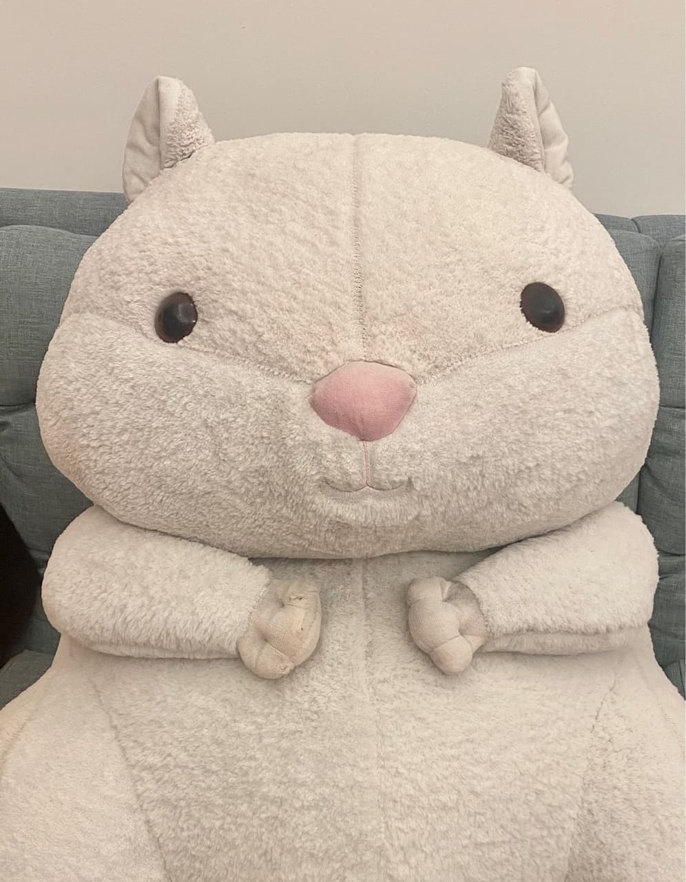 文長 關於我家小老鼠🐭 - 凱倫 (@karen_food_map) | Dcard