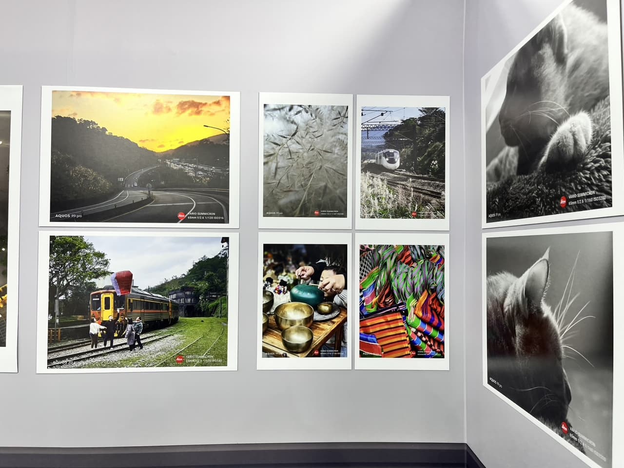 分享Sharp R9 Pro華山體驗心得 - 3C板 | Dcard