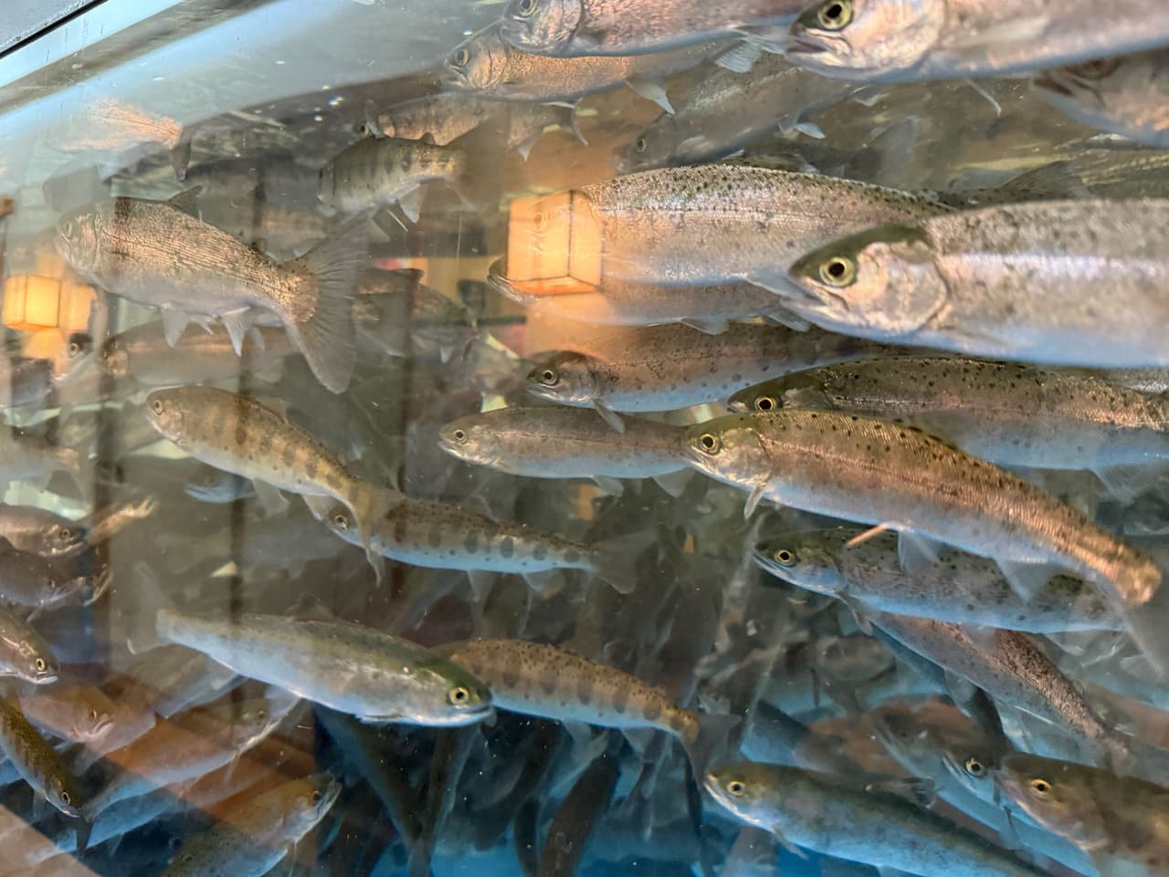 #國外遊記 北海道3月 11天10夜 機+酒+租車3.5W 自駕旅行 - 旅遊板 | Dcard