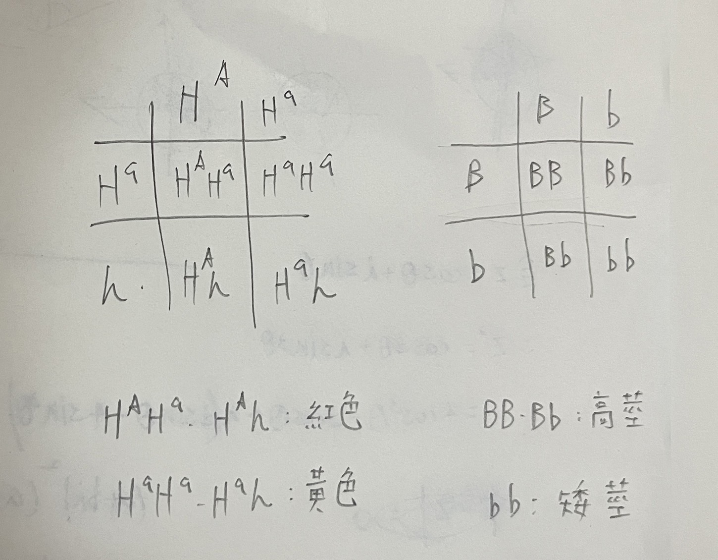 問題 大滿貫生物遺傳學題目問題 重考板 Dcard