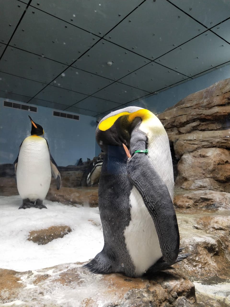 Xpark 照片分享 - 神隱少女 (@dory.fish) | Dcard