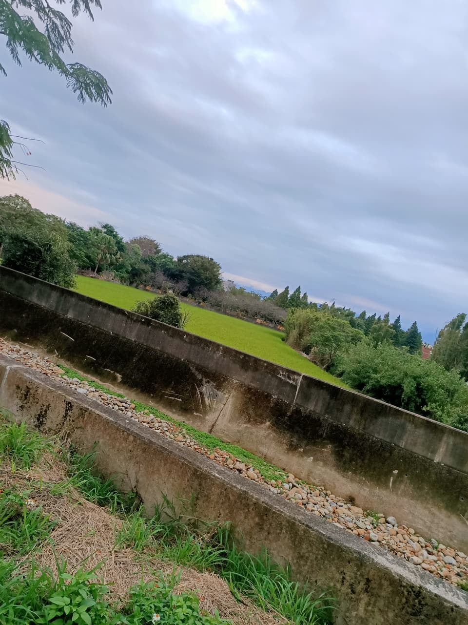 #黃牌 大型重機考照與牽新車XMax心得 - 重機板 | Dcard