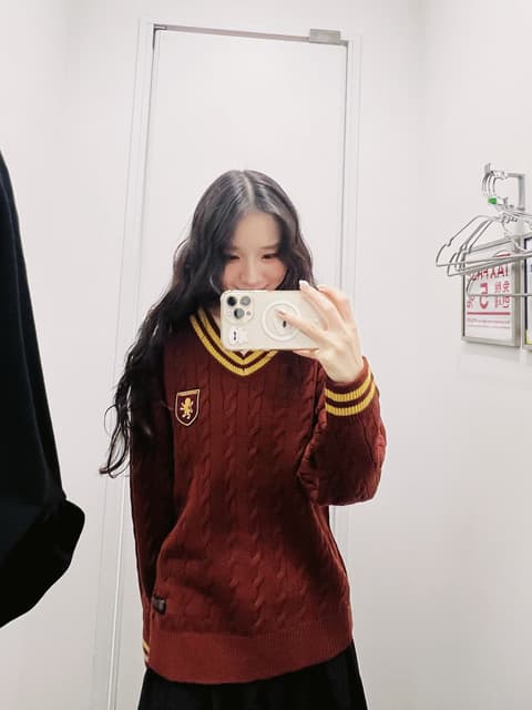 #分享 GU x Harry Potter 四學院針織衫實穿🦁🐍🦡🦅 - 穿搭板 | Dcard