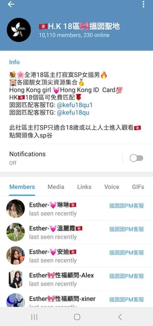 想問下各位有無join過呢啲tg sp 群組 - 港澳西斯板 | Dcard