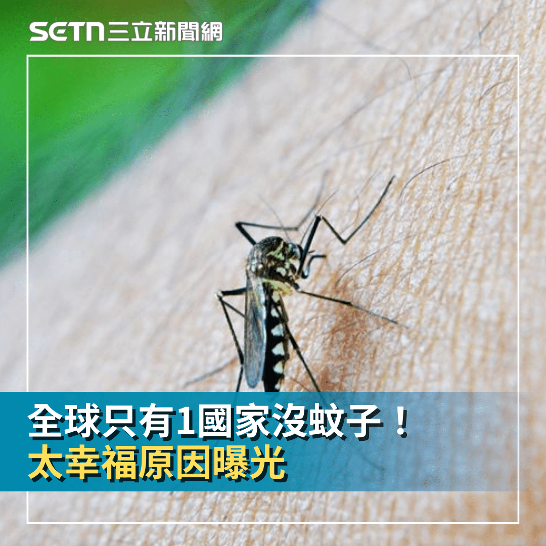 全世界只有「1國家」沒蚊子！「有機會飛抵也活不了」太幸福原因曝光 - SETN三立新聞網 (@setn54) | Dcard