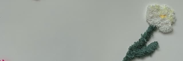 Helen海倫 (@tseng_h) | Dcard