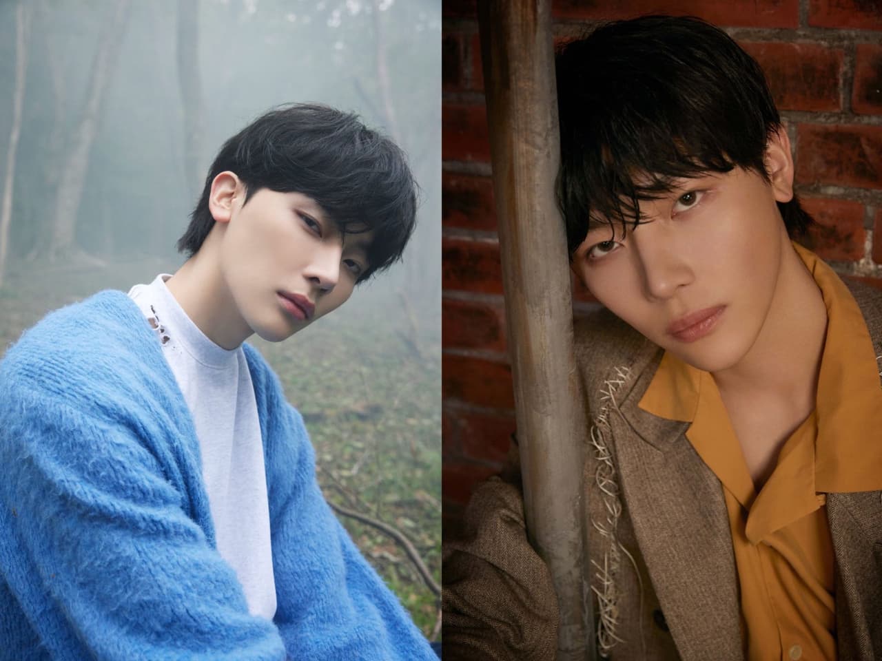 #分享 HYBE日本男團&TEAM出道資訊 - 追星板 | Dcard