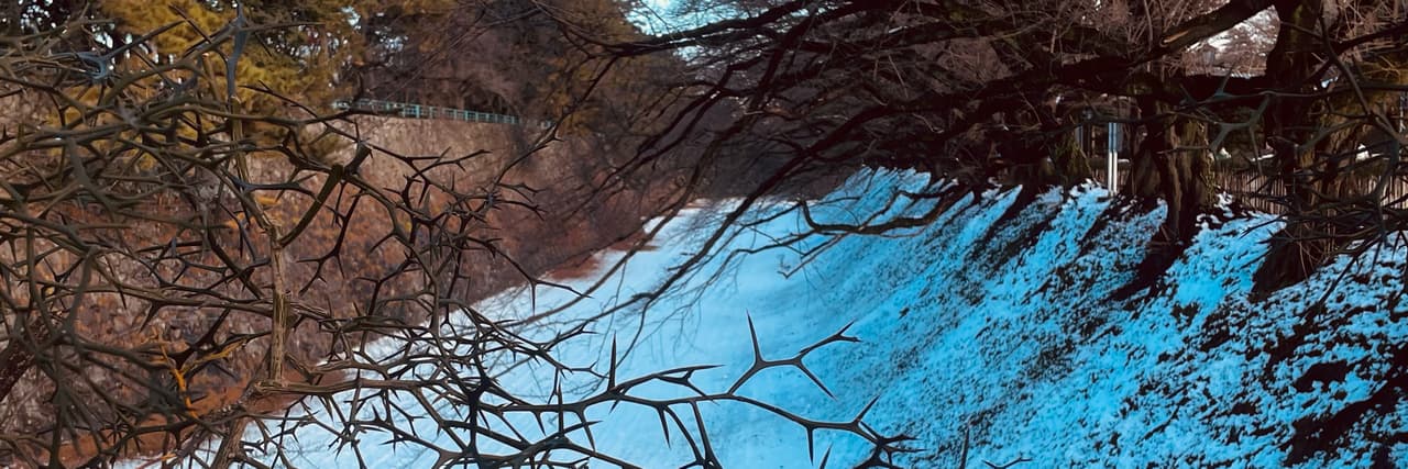 鯨魚🐳 (@whale0319) 的公開頁面 | Dcard