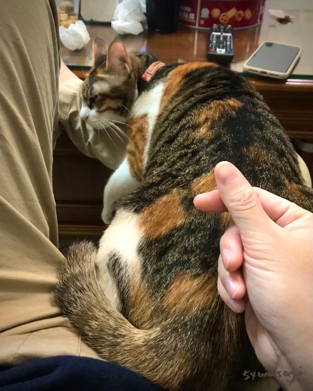 腳麻了但不想跑🐰 - 兔級廚師 (@wusagi) | Dcard