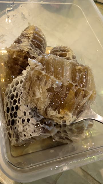 蜂巢蜜 - 陳法。雜學 (@doolounge) | Dcard