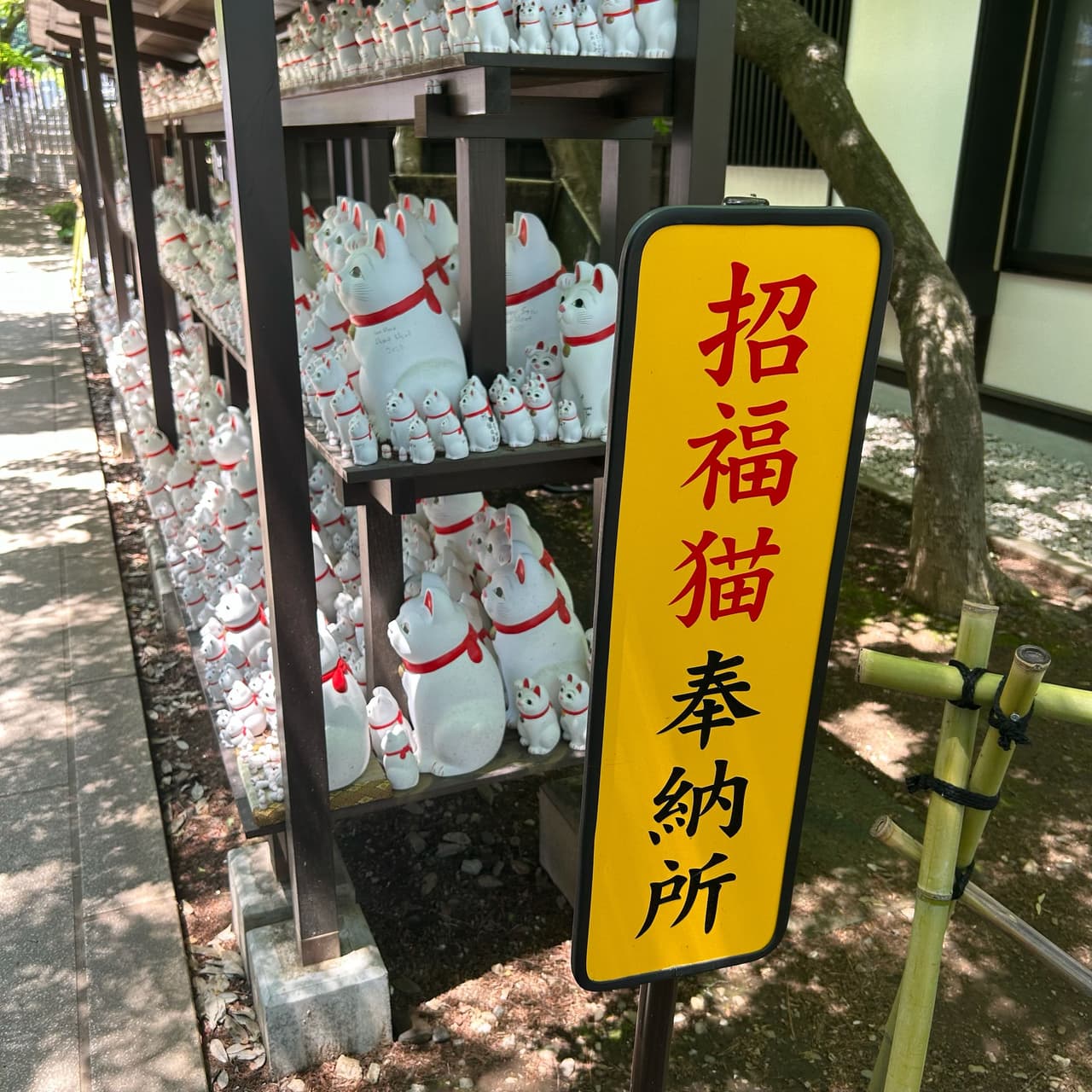 黃金週京阪奈獨旅（day8-9)東京出差篇 - 日本旅遊板 | Dcard