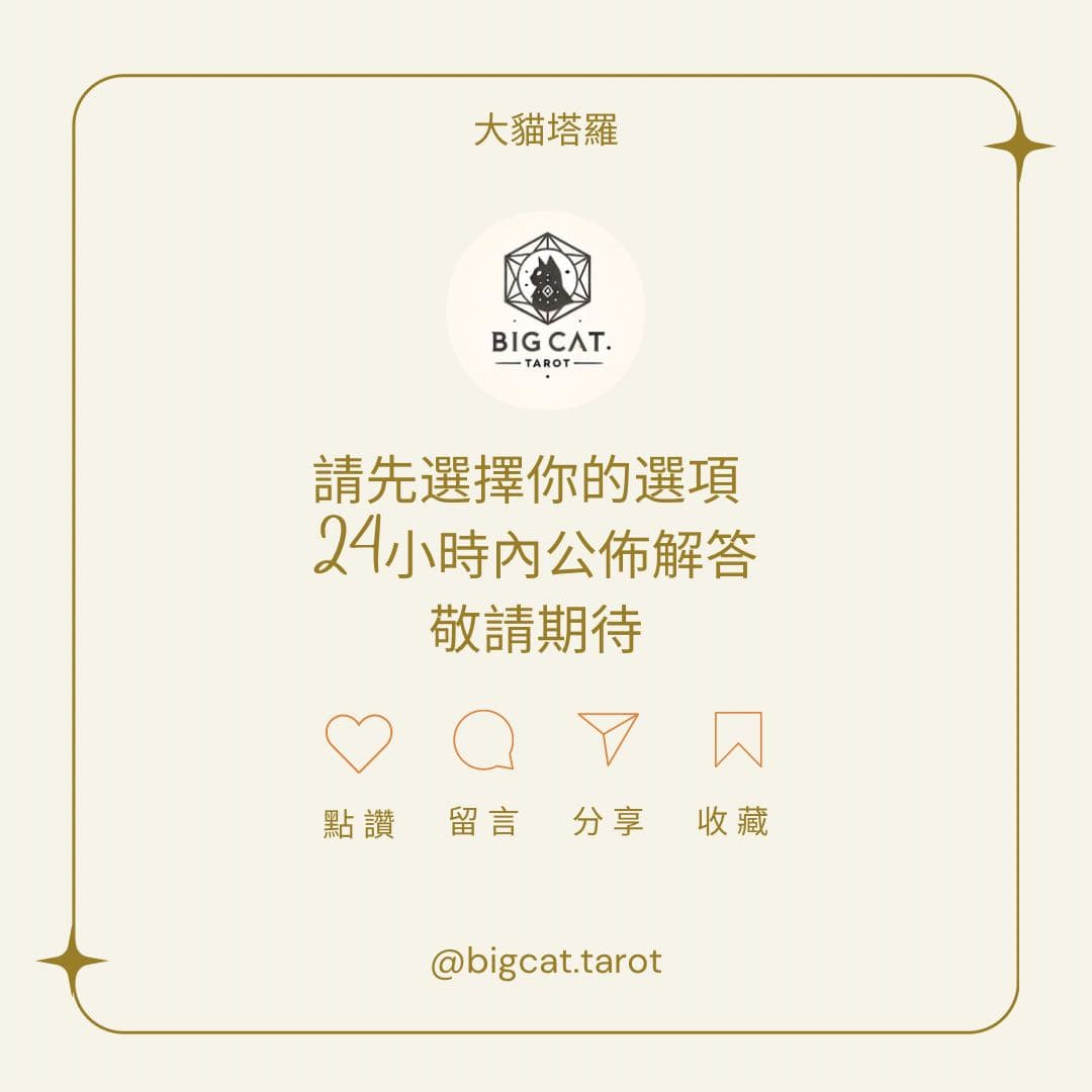 #大貓塔羅占卜 他還會再找我嗎🌻解析B33🍀 - 大貓塔羅 (@cat_tarot) | Dcard