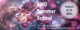 #宣傳 2024 AMO Summer School 開放報名！ - 研究所板 | Dcard