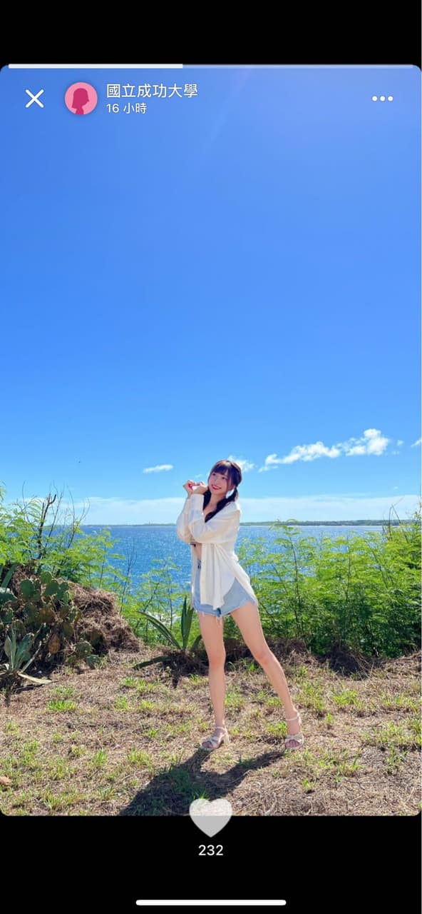 她是誰呀 成功大學板 Dcard