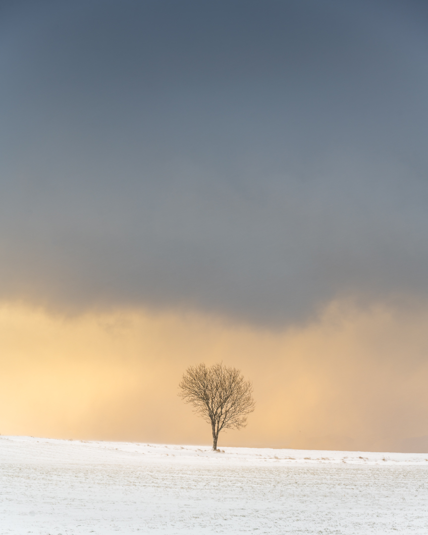 #教學 #教學 風景攝影入門 (5)：Pre-visualization 預視 - 攝影板 | Dcard