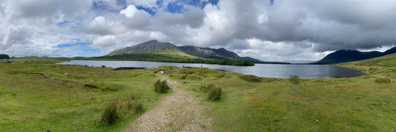 正派兔 (@most_honest_man) | Dcard