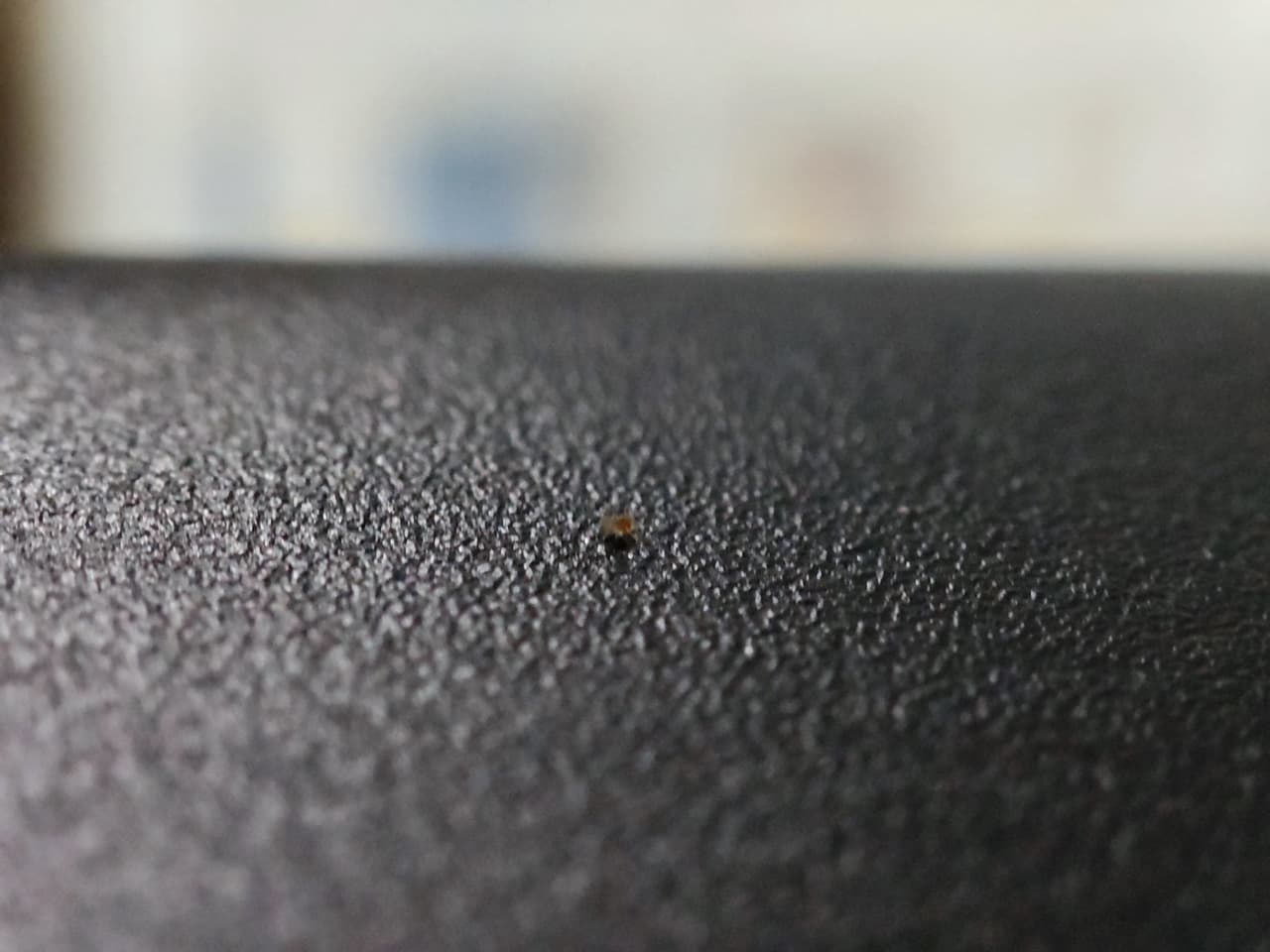 請益 請問這是什麼蟲非常小🙏 昆蟲板 Dcard