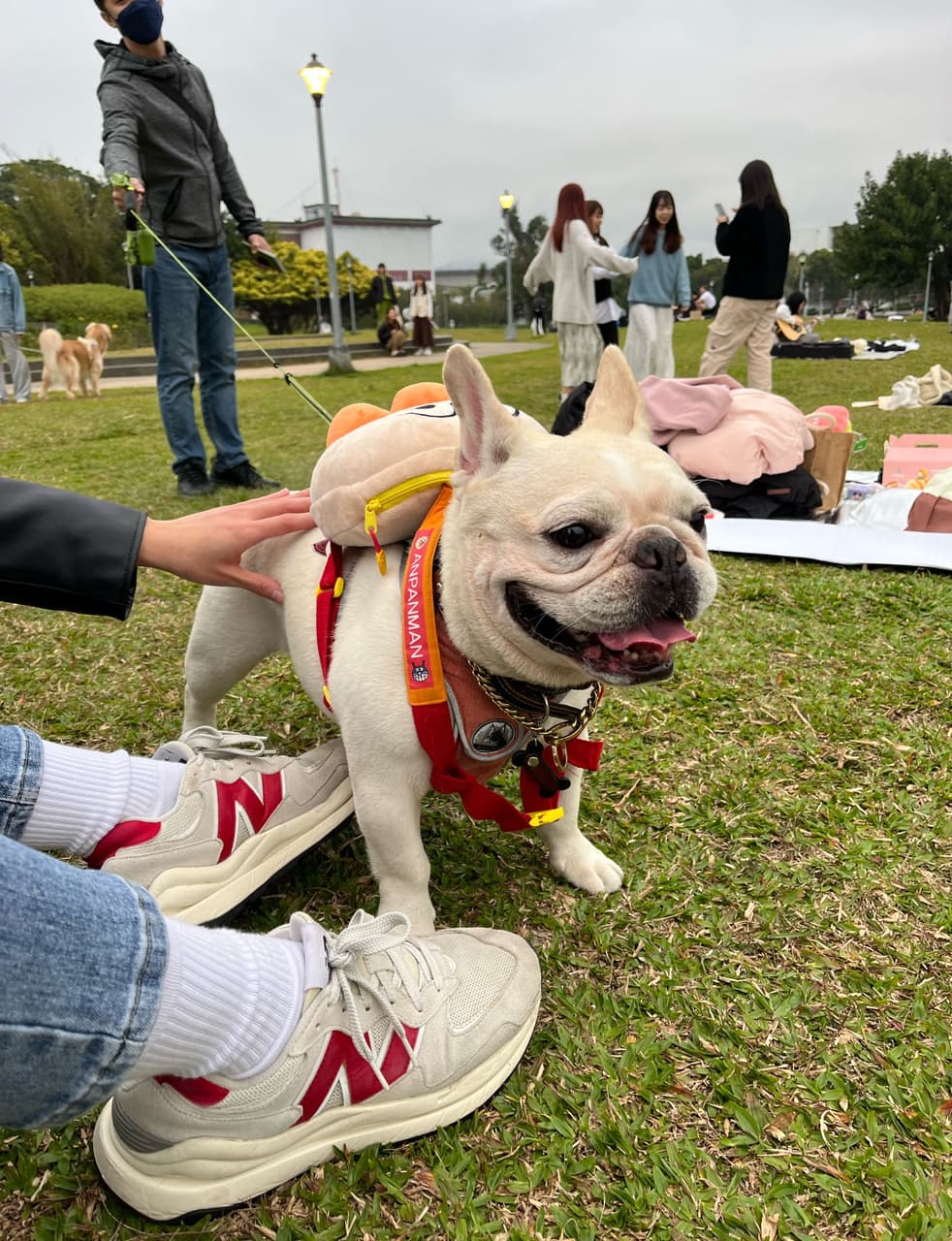 228粗門去 - 160的⛰️ (@qqqw) | Dcard