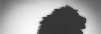 那個🦁️ (@raaaaar) | Dcard