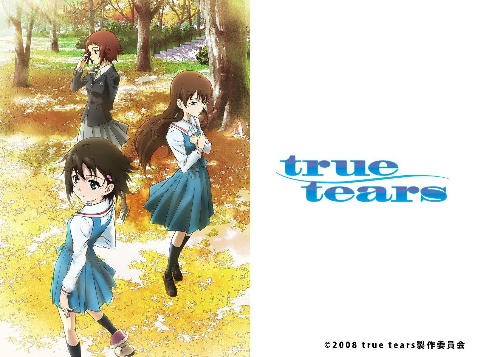 【心得側寫】動畫true tears－一部看見角色成長的等身大青春交響樂章 - 動漫板 | Dcard