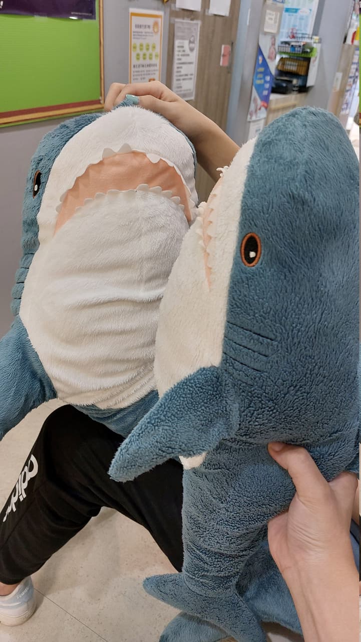 巧遇鯊鯊夥伴－「壞」女孩日記 - 吐司阿泥🍞🐑 (@vamcie) | Dcard