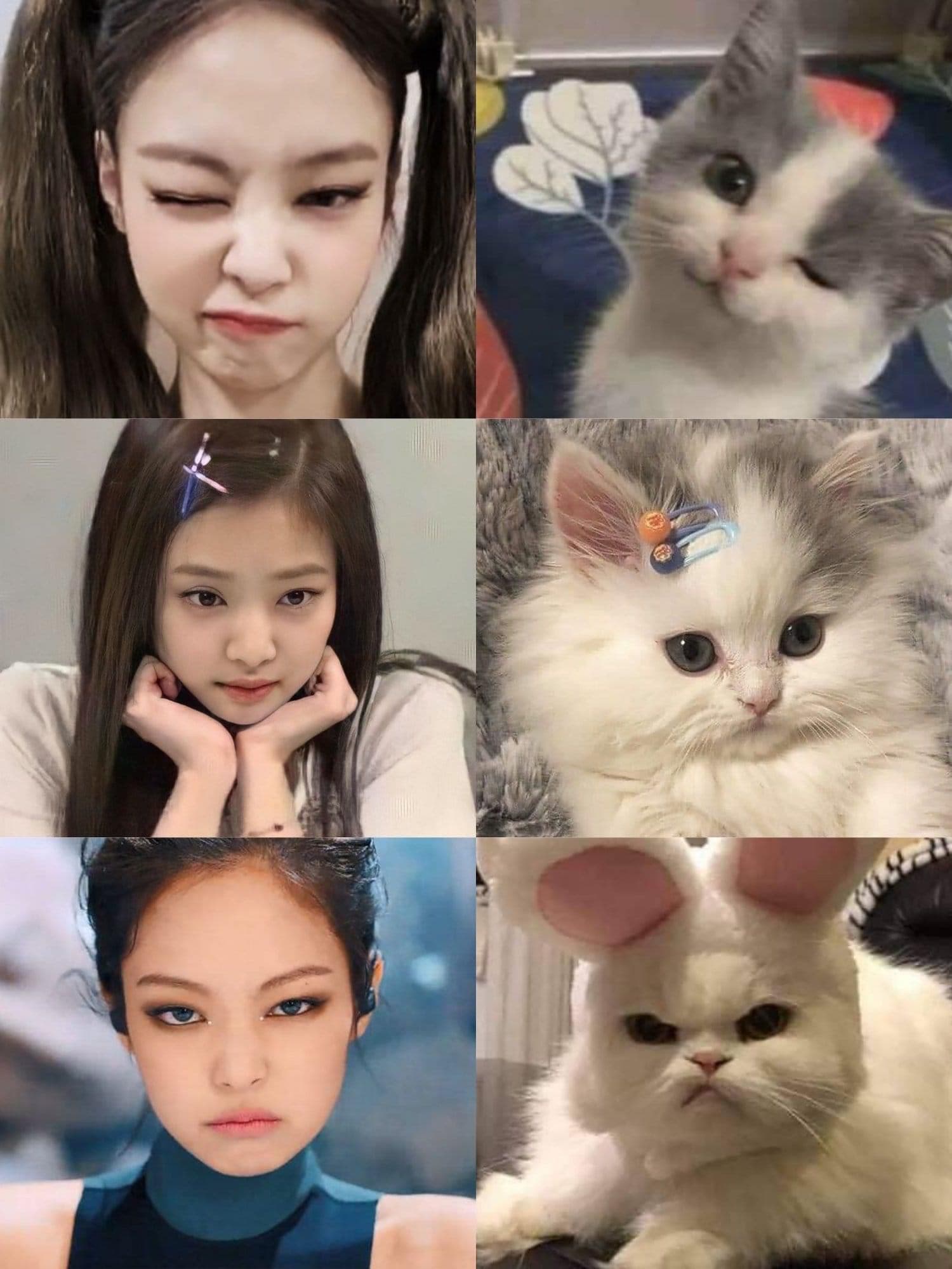 #分享 Jennie與貓咪🐱 - BLACKPINK板 | Dcard