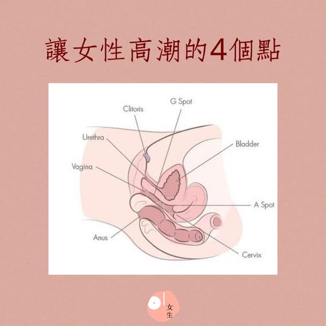 女友連續高潮 - B16 留言 | Dcard