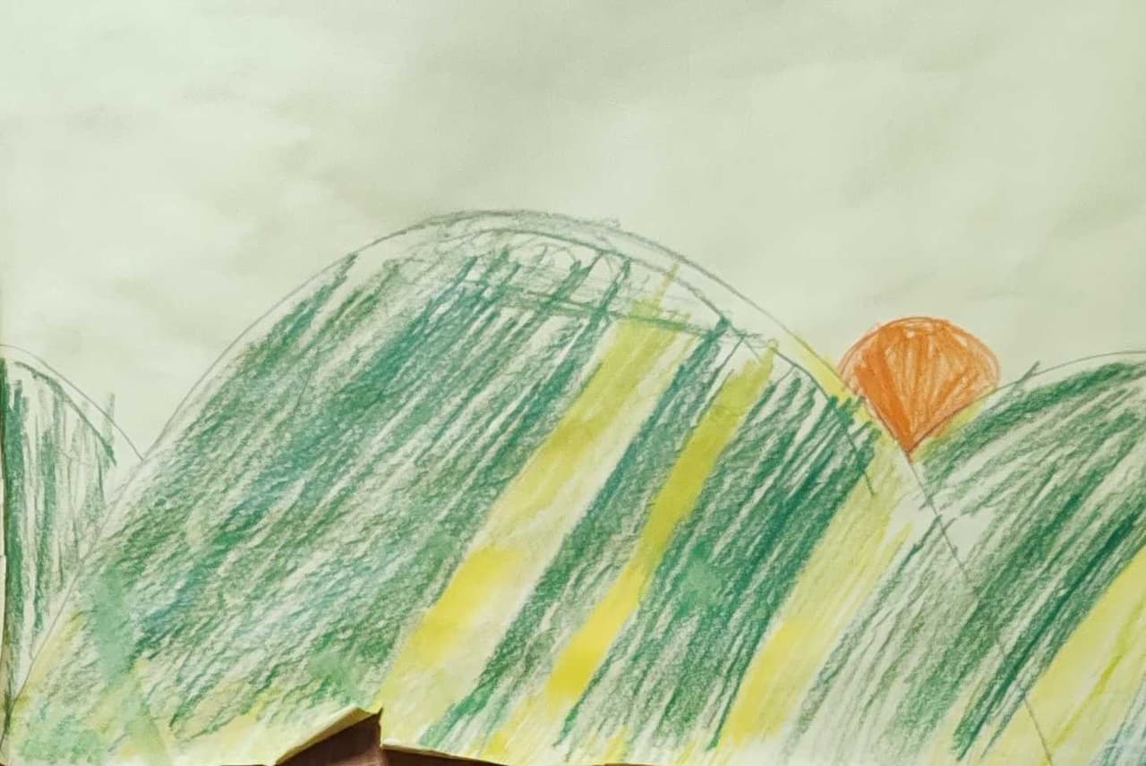 如果無讀過VA去考 - DSE 考生專區板 | Dcard