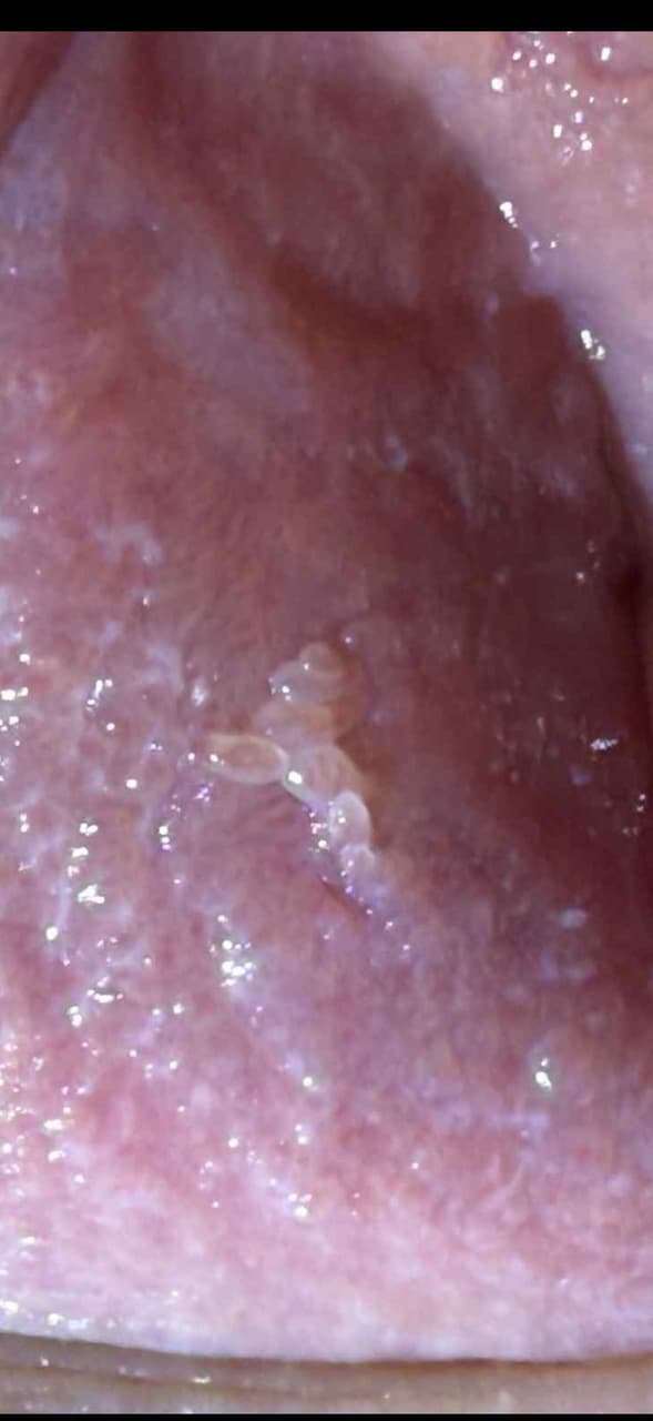 這個是…？ - 女孩板 | Dcard