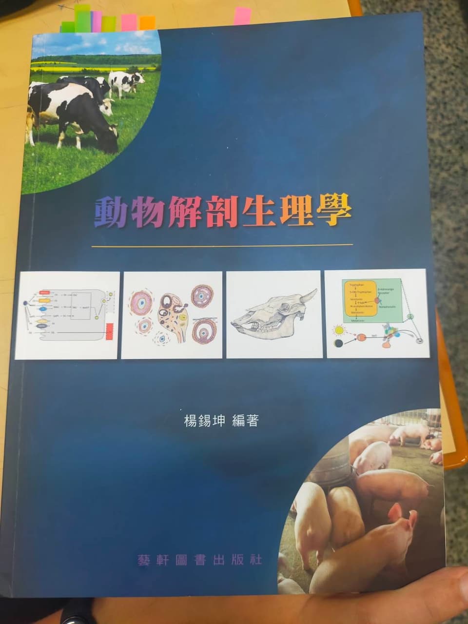 收二手書 國立高雄科技大學板 Dcard