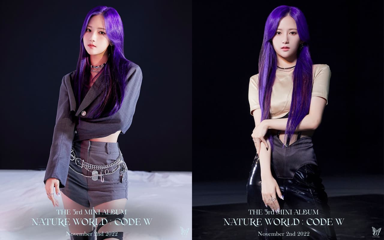 #集中討論 NATURE 11/6 第三張迷你專輯 [NATURE WORLD : CODE W] - 追星板 | Dcard