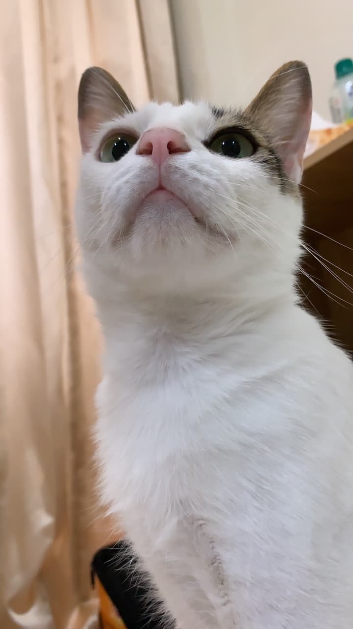 What’s in my Tokyo room - B68 留言 | Dcard