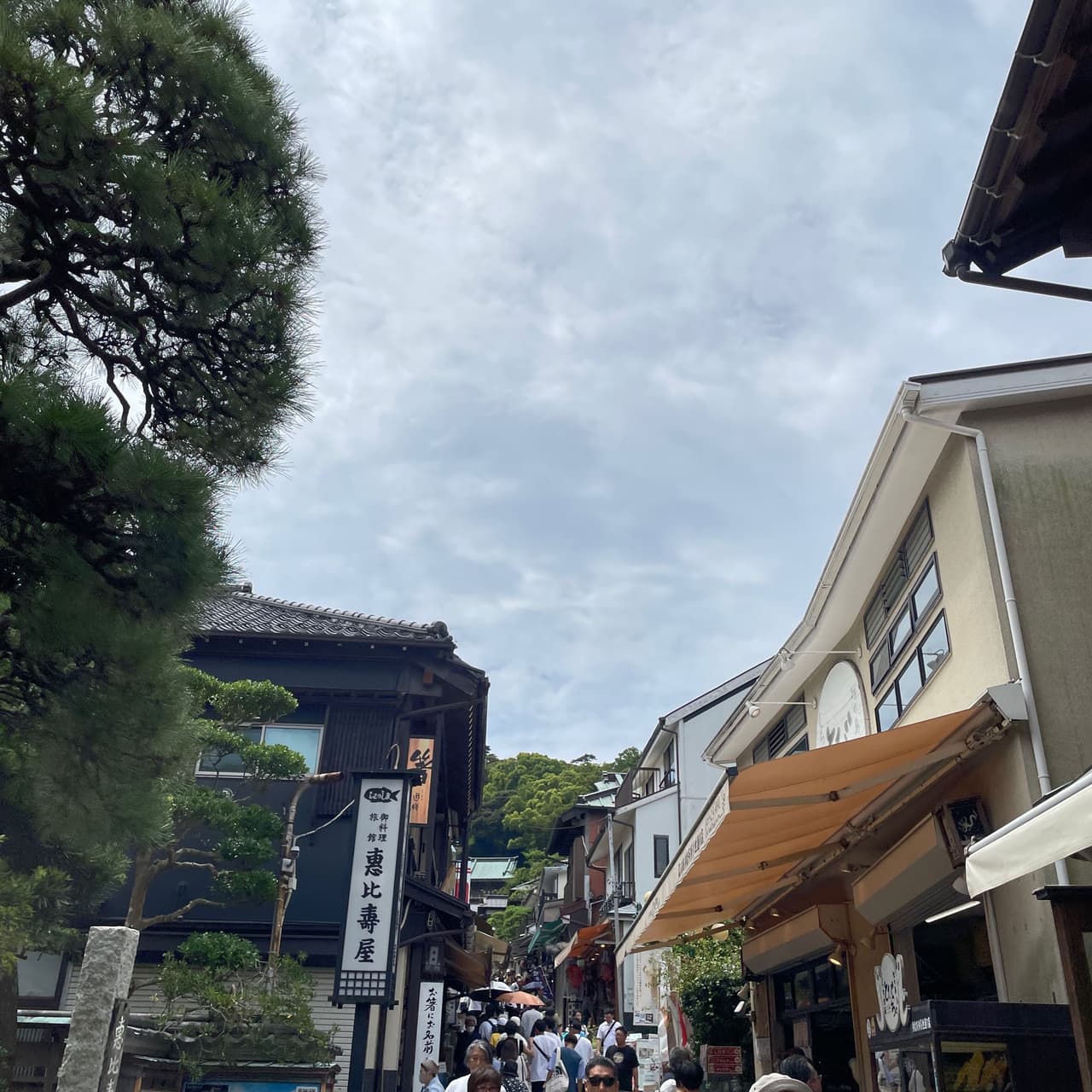 #江之島 #鎌倉 #2023探親之旅part6 - 日本旅遊板 | Dcard