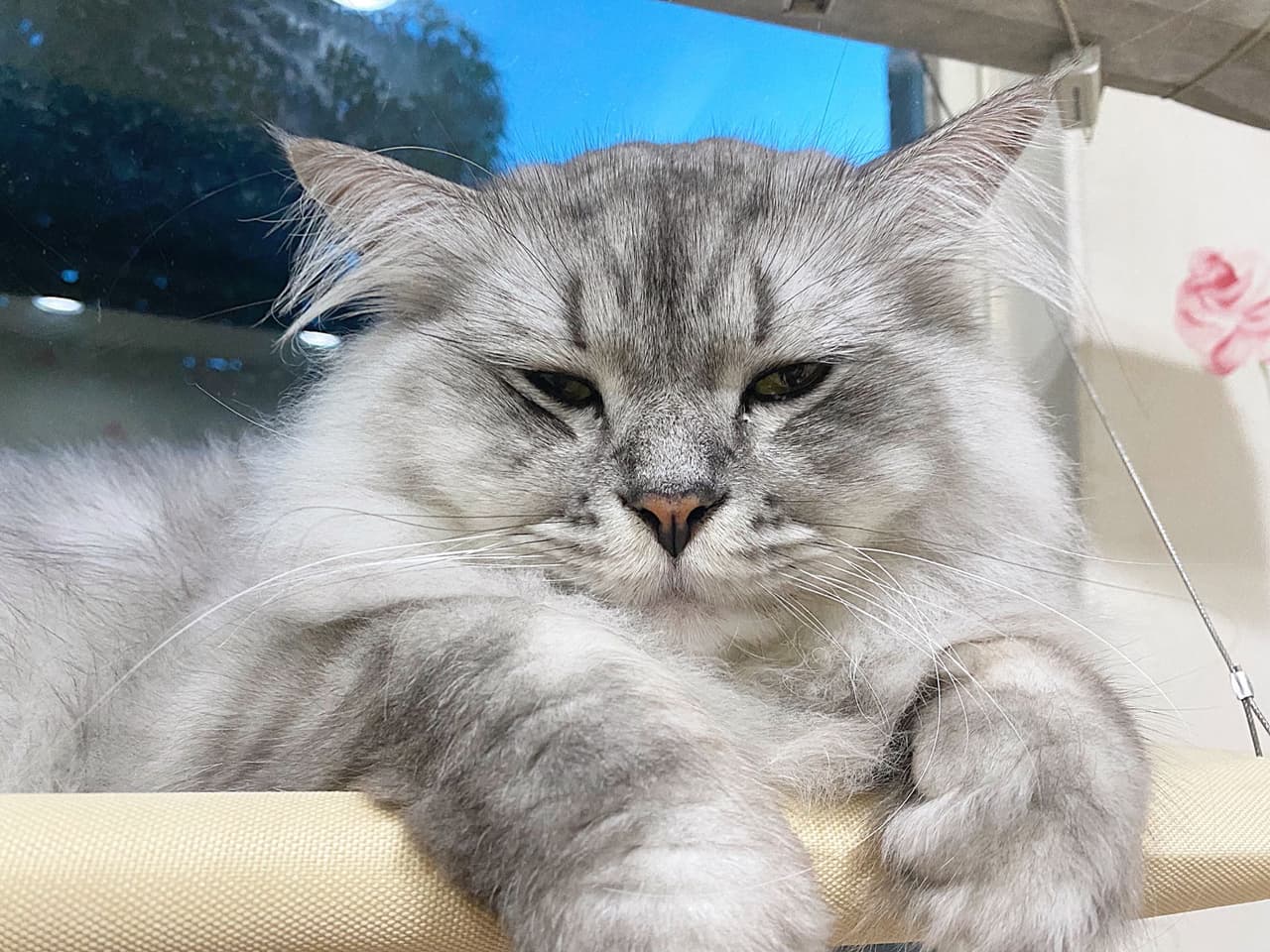 幫男友清粉刺（內有超多洞洞!! - B54 留言 | Dcard