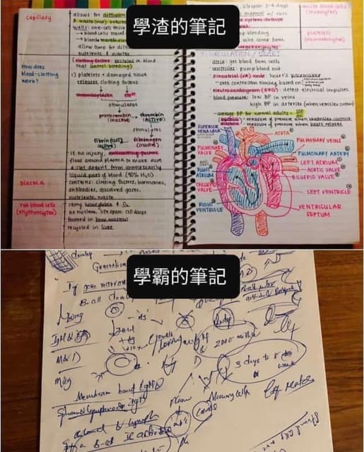 學渣跟學霸的筆記差別？ - B506 留言 | Dcard