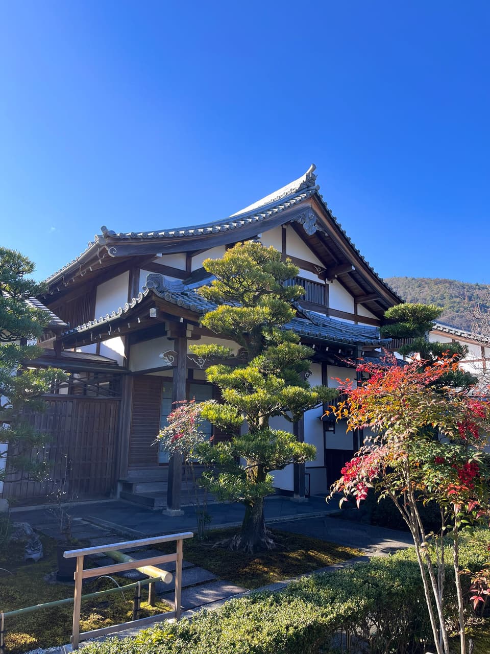 🇯🇵日本京阪奈7天6夜自由行𝙋𝘼𝙍𝙏 ｜京都篇—嵐山、猴子公園、金閣寺之旅 - A🫧 (@alice1108) | Dcard