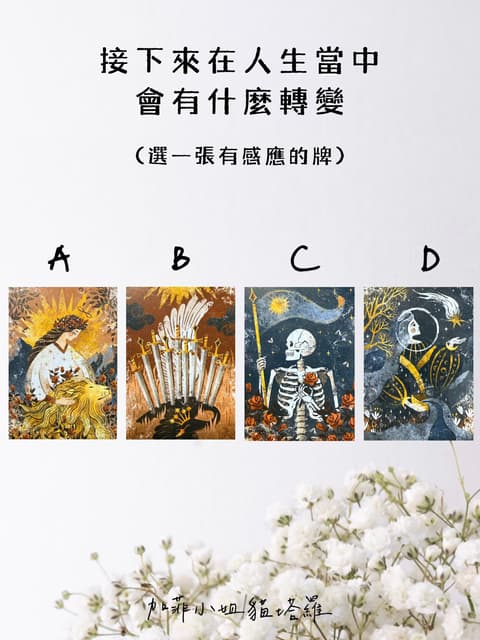 「塔羅」大眾占卜-接下來在人生當中會有什麼轉變💘 - 加菲小姐貓塔羅 (@garfield_tarot) | Dcard